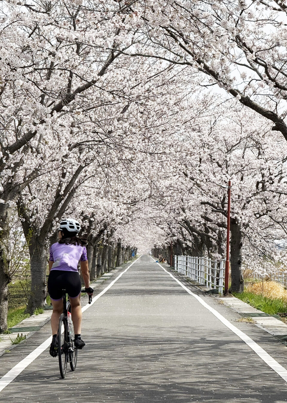 Cycle trip JAPAN – 楽しい自転車旅をもっと快適にするサイト